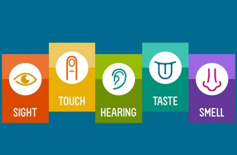 Sensory Marketing: How to maximise your marketing strategy | Purple Frog
